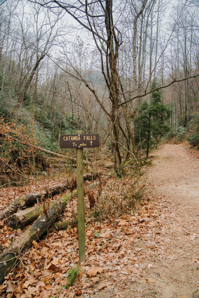 Hiking Guide: Catawba Falls Trail in Old Fort, NC - Madelyne on the Move