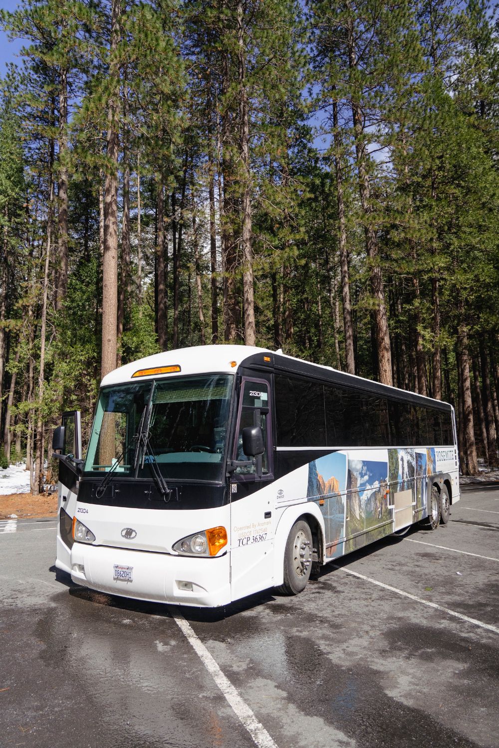 The Best 7-Day California Road Trip Itinerary - Madelyne on the Move
